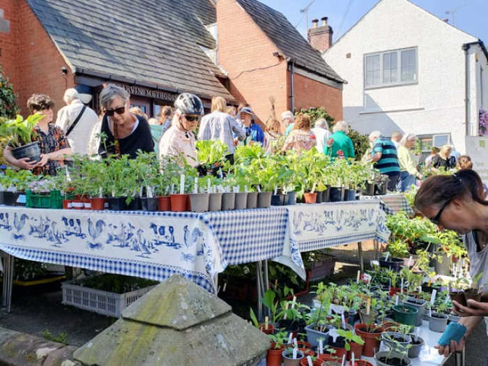 TarvinOnline | Tarvin Plant Sale 2024