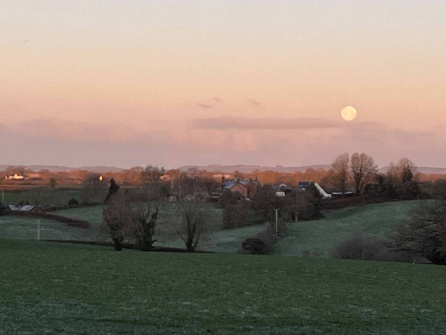 AudlemOnline | Wolf Super Moon