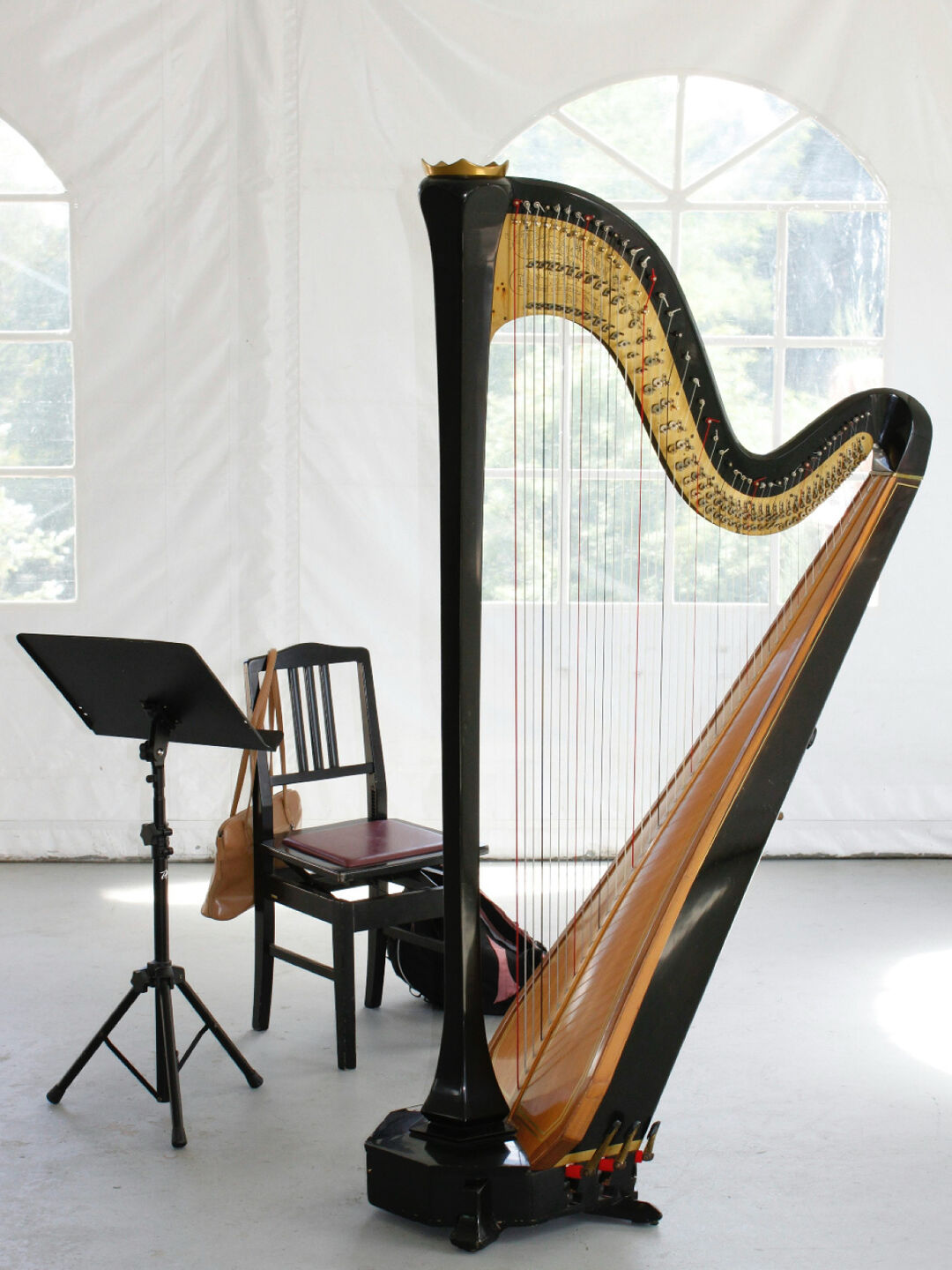 Haddenham.net | Elizabeth Law: Harpist
